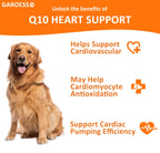 chewable CoQ10 for pets