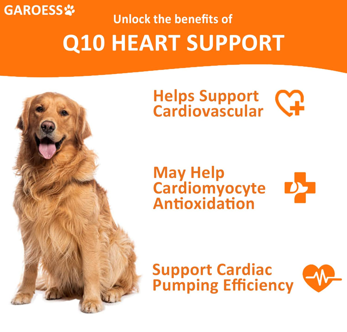 chewable CoQ10 for pets