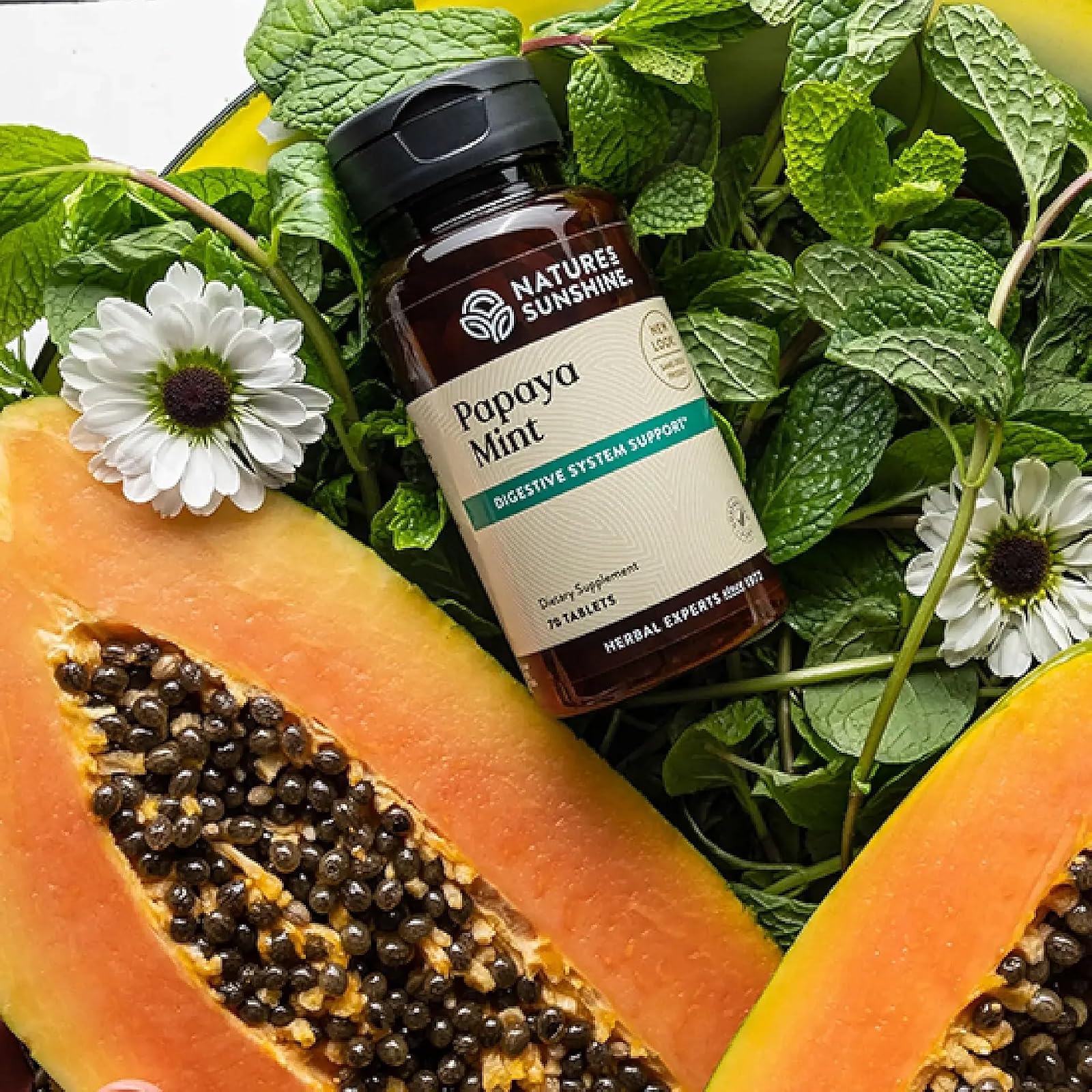 chewable digestive enzymes for adults