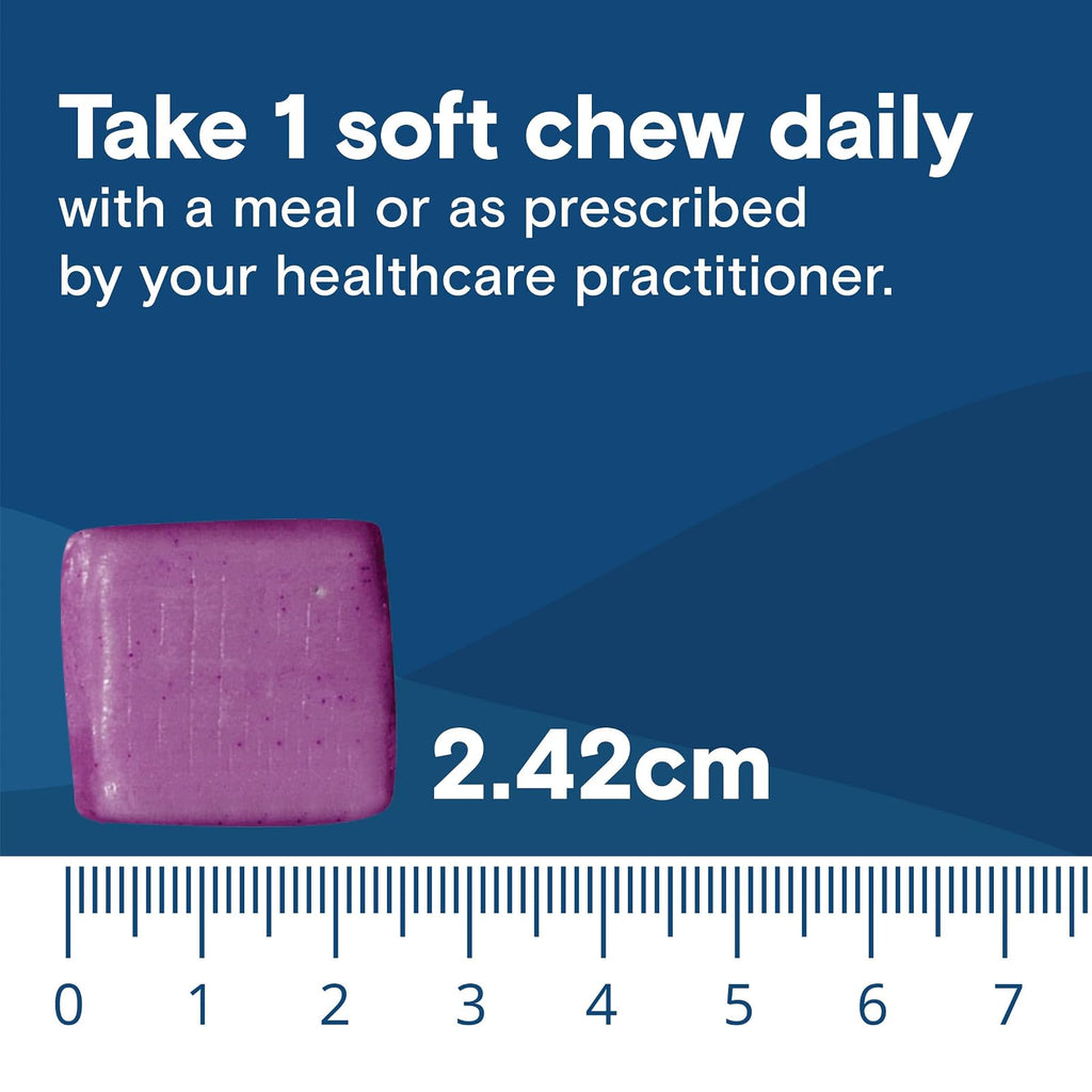 chewable iron for better absorption