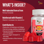 Chewable iron supplement for kids