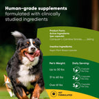 chewable L-Carnitine tablets for energy