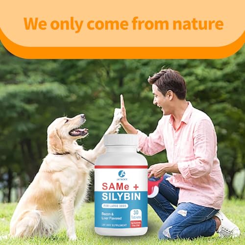 Chewable liver supplements for dogs