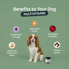 chewable multivitamins for joint health