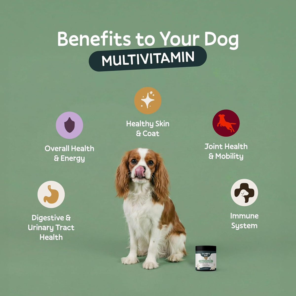chewable multivitamins for joint health