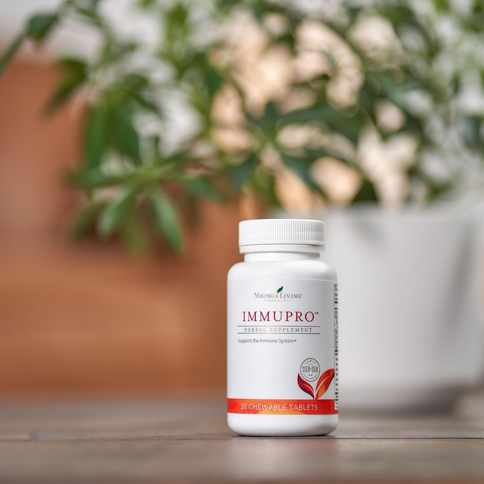 chewable tablets for seniors wellness