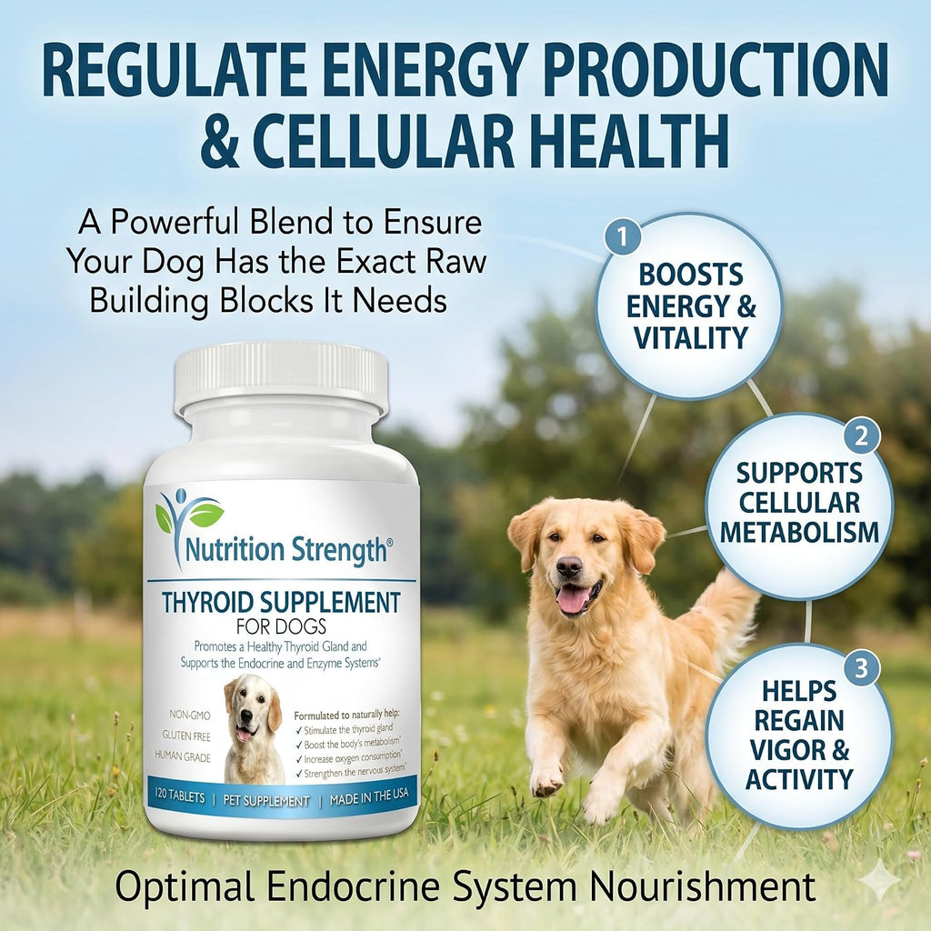 chewable thyroid support for dogs