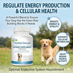 chewable thyroid support for dogs