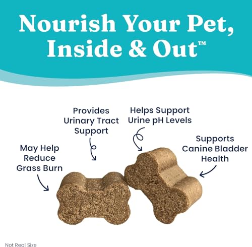 chews to support healthy gut in dogs