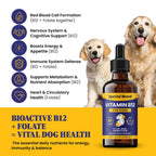 chicken flavour vitamin B12 supplement
