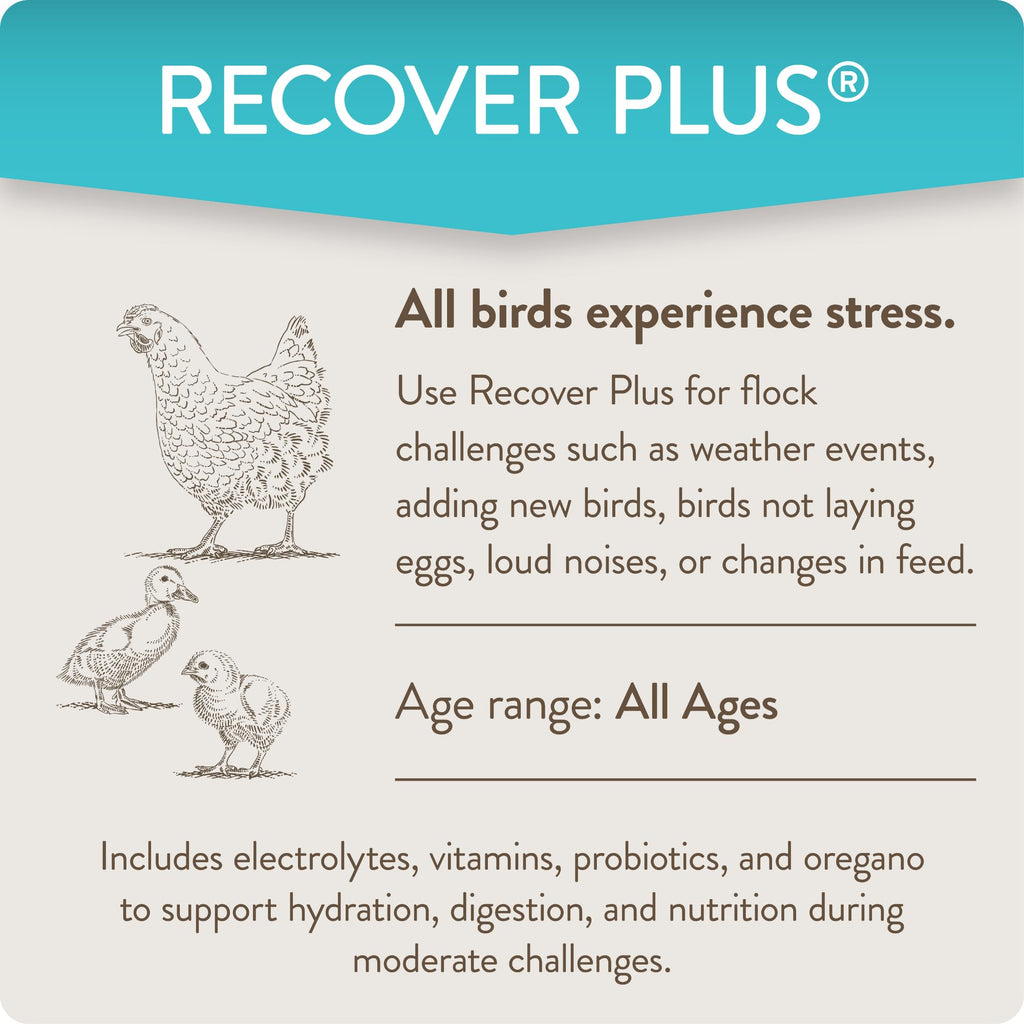 chicken health blended vitamin solution