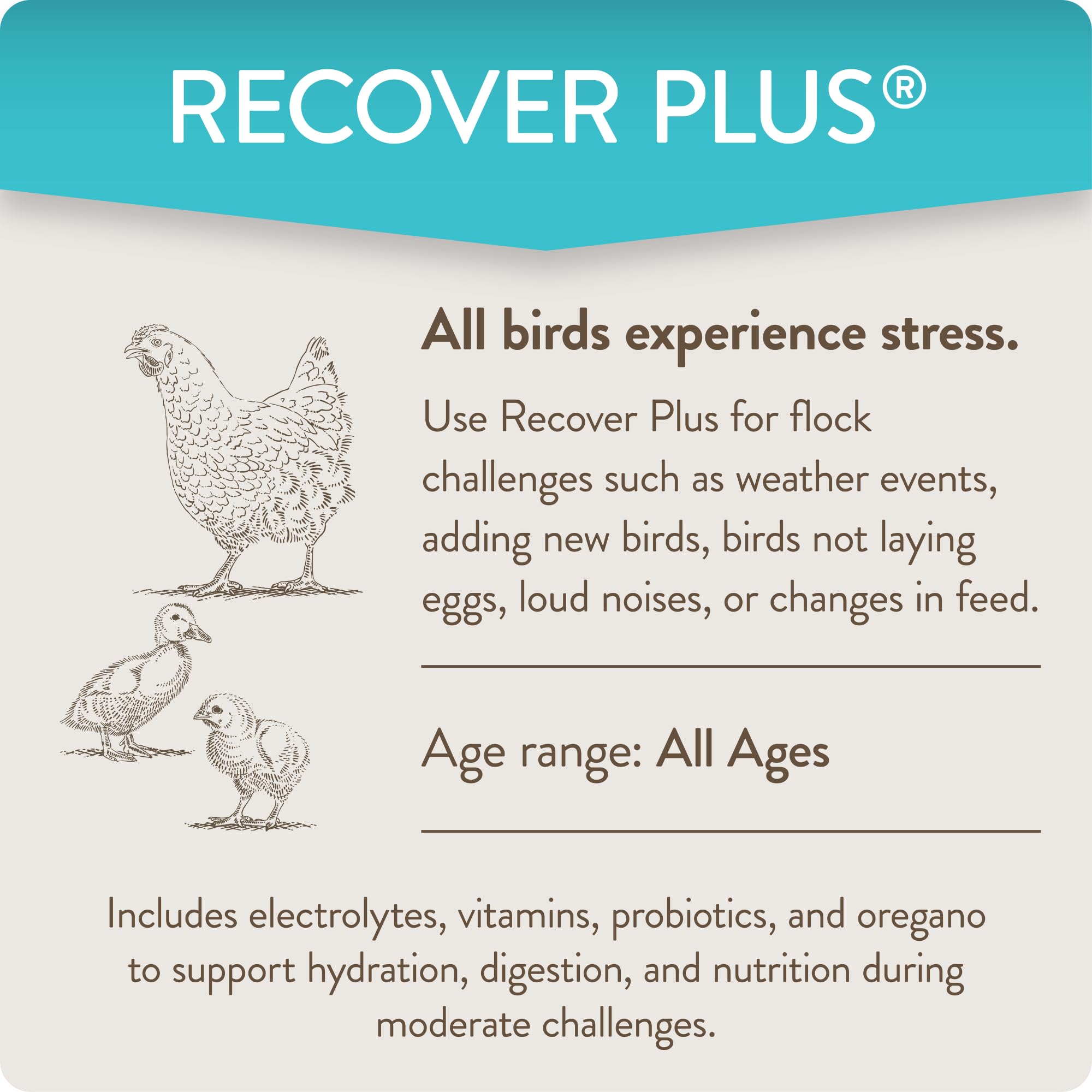 chicken health blended vitamin solution