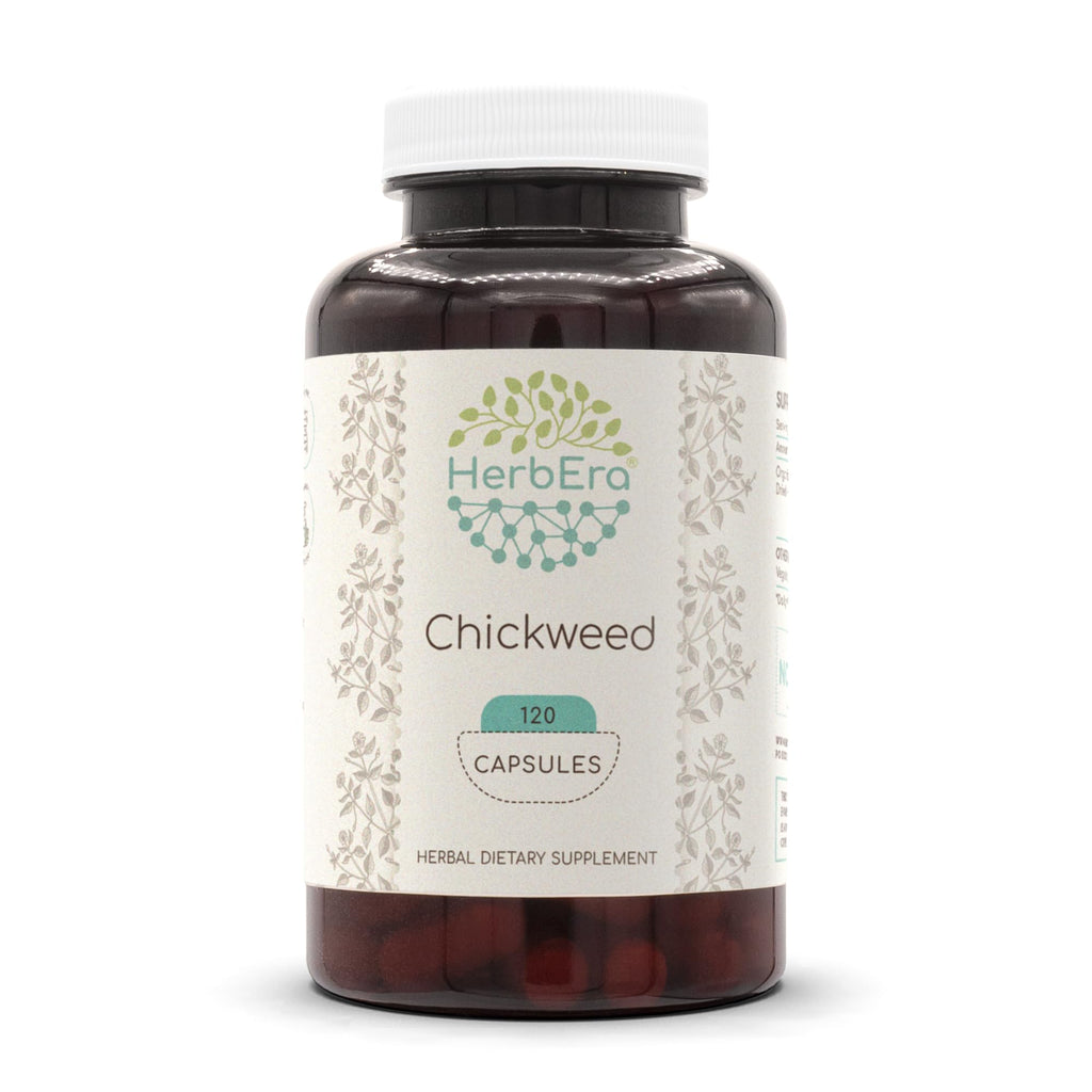 Chickweed herbal supplement capsules
