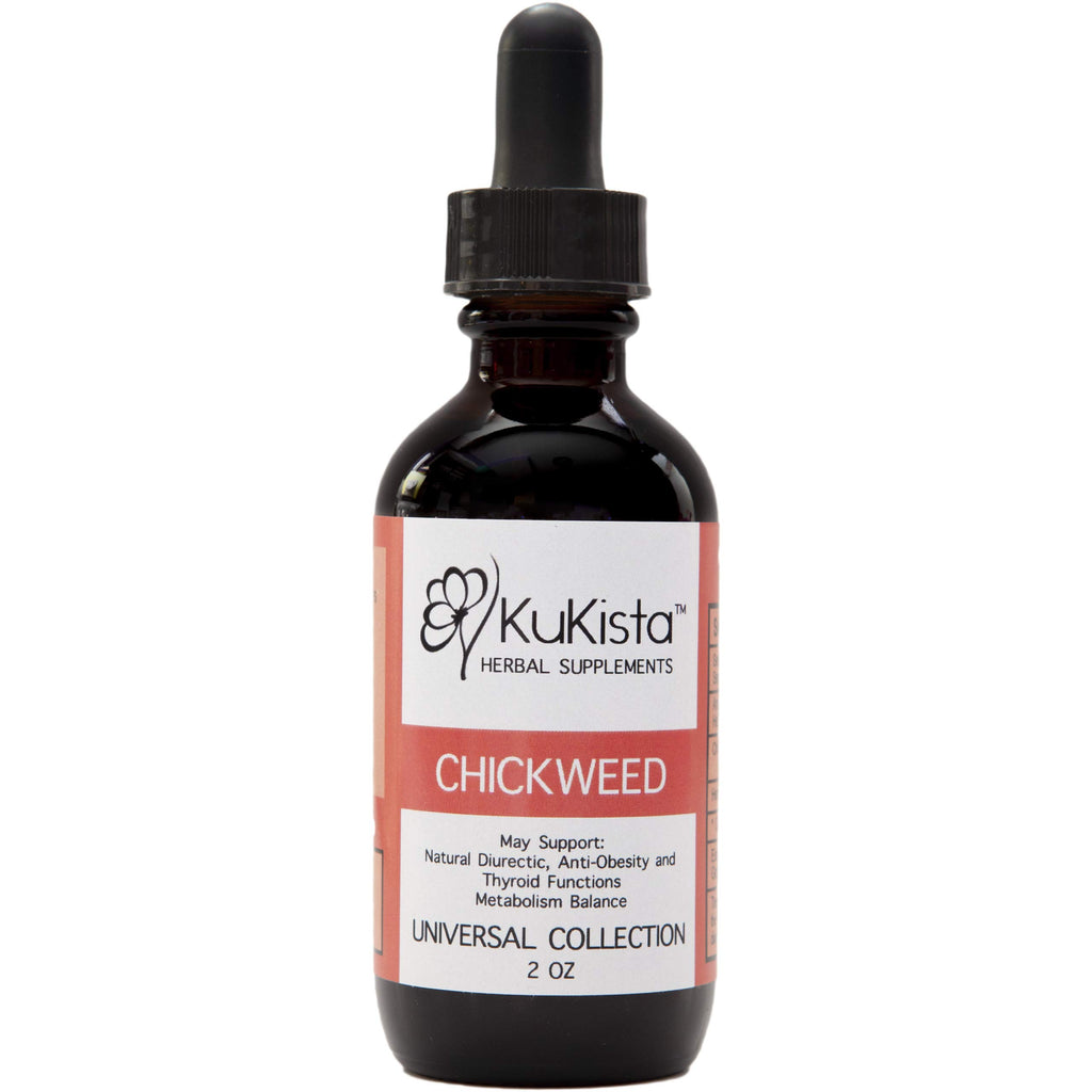 chickweed liquid extract herbal remedy