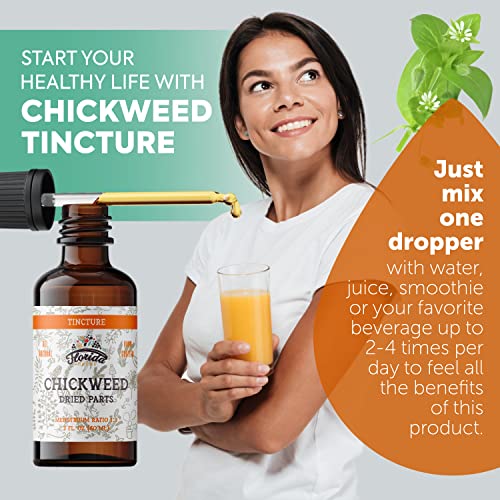 chickweed tincture for holistic health