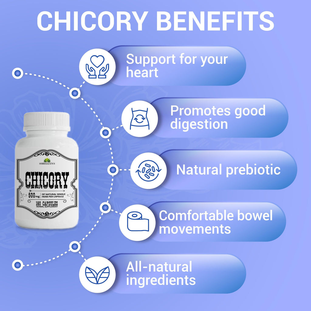 chicory root for gut health