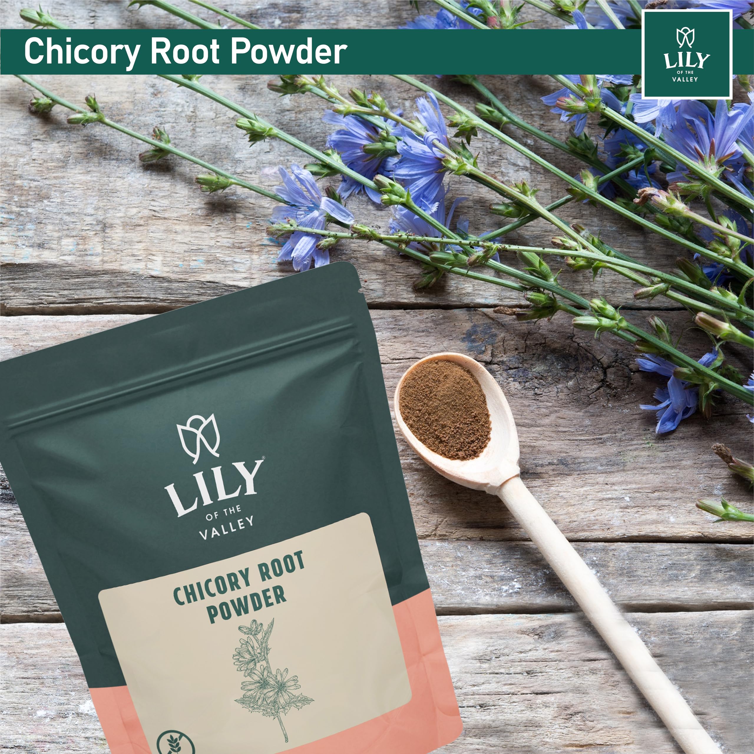 Chicory root powder for healthy gut