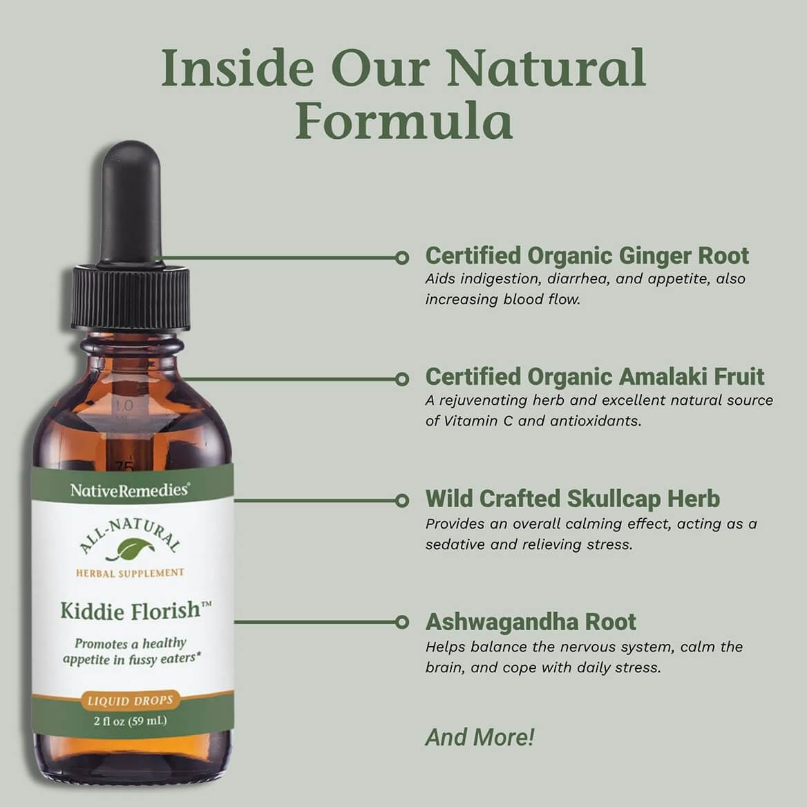 children's appetite support solution