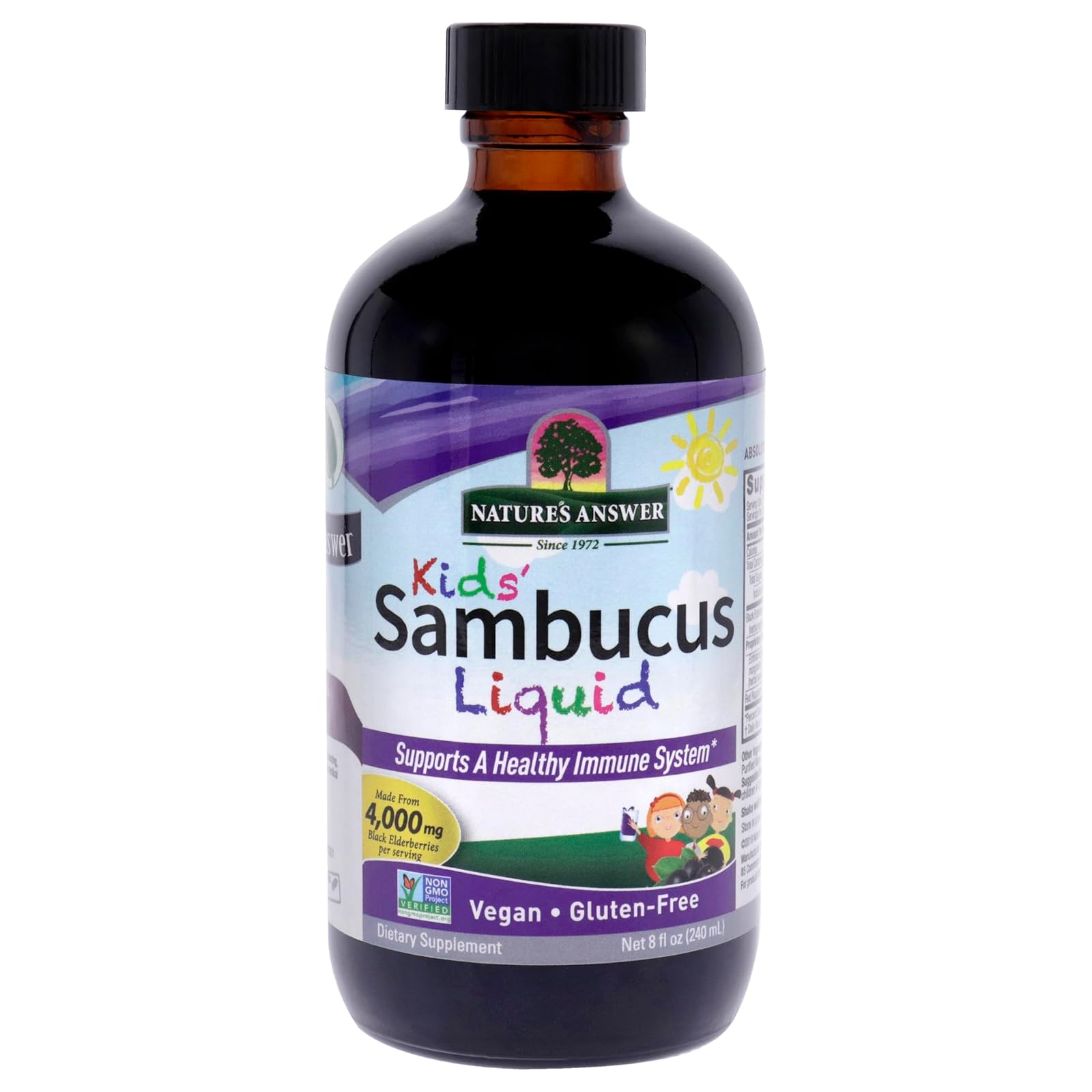 children's elderberry formula for wellness