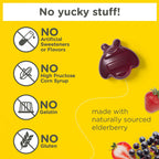 children's elderberry immune support
