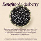 children's elderberry syrup for wellness