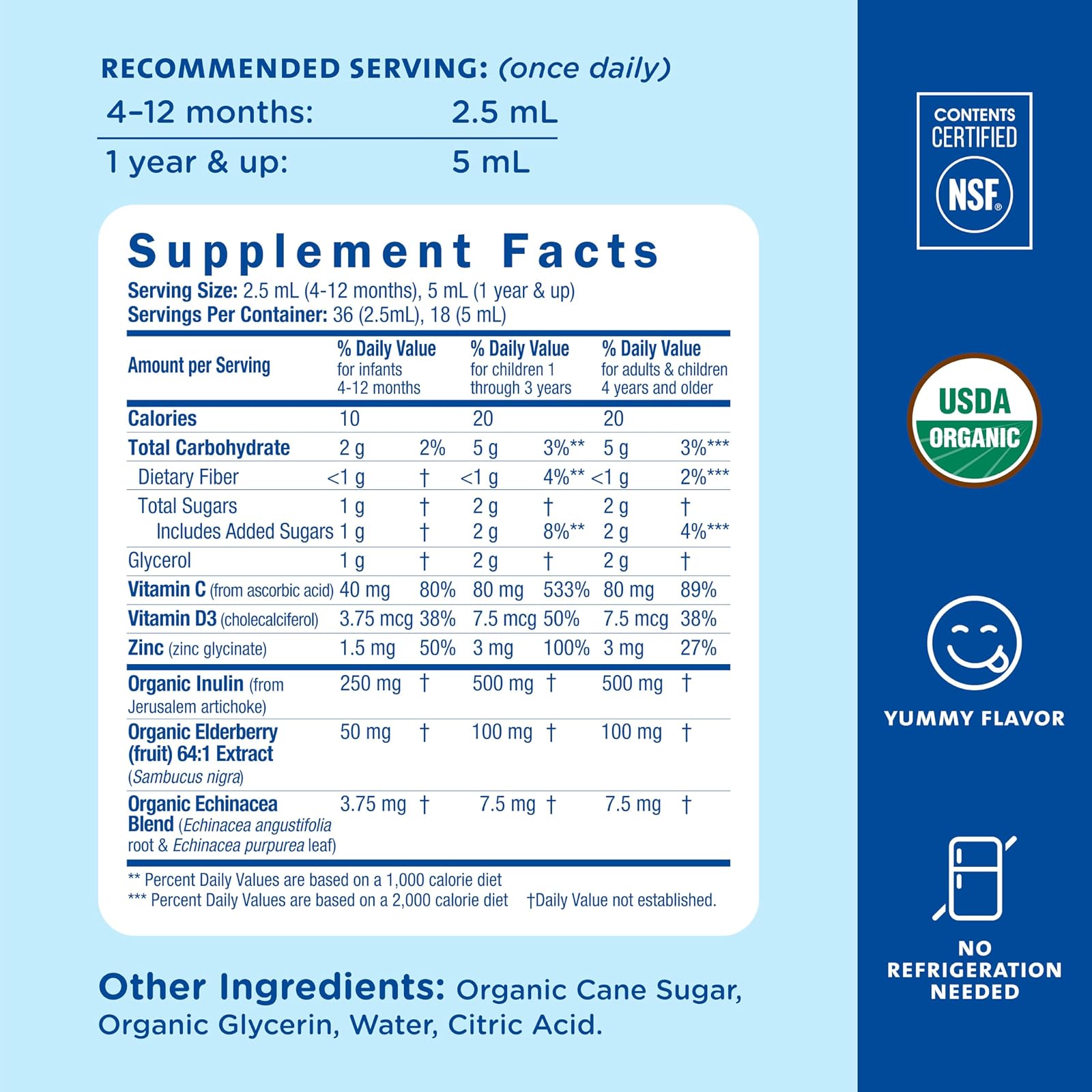 children's elderberry wellness supplement