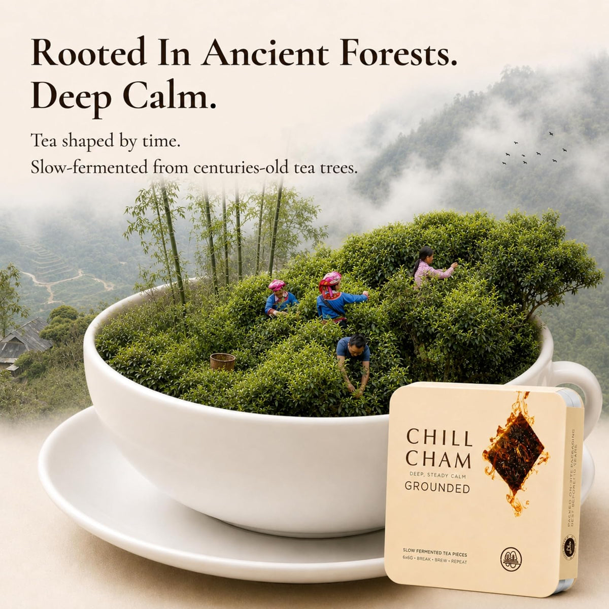 Chill Cham tea for evening relaxation