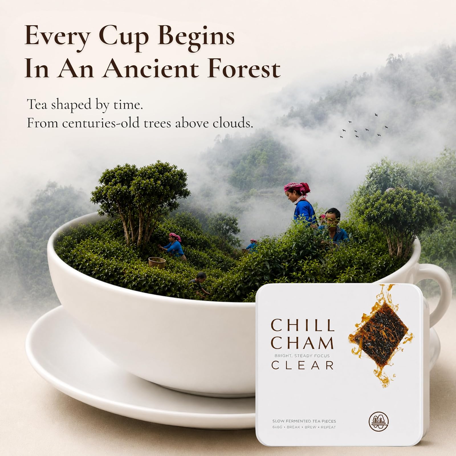 Chill Cham tea for mental clarity