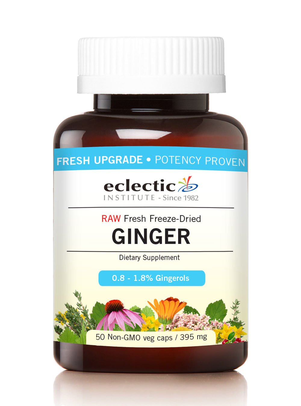 Chillax ginger benefits for wellness