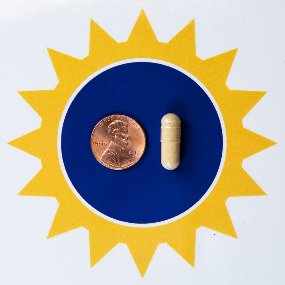 Chillax ginger for immune support
