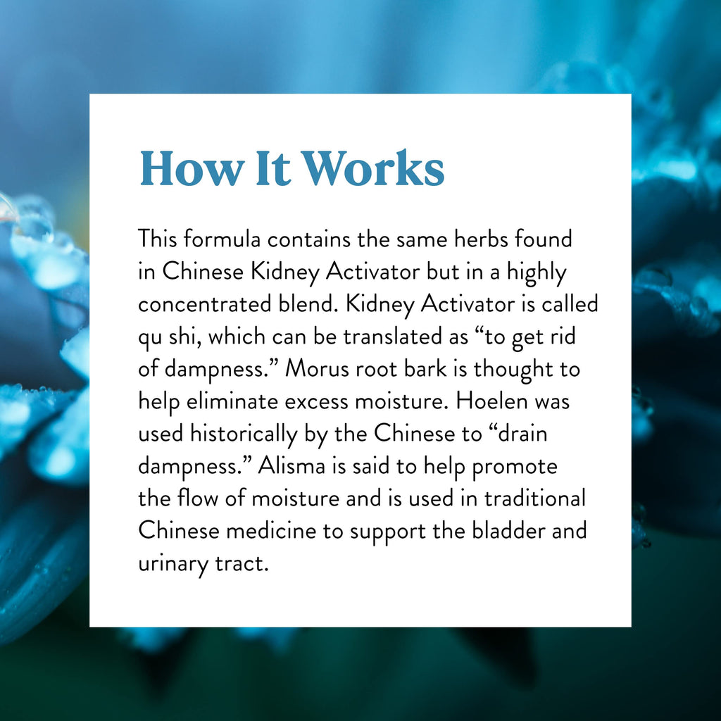 Chinese medicine for kidney wellness
