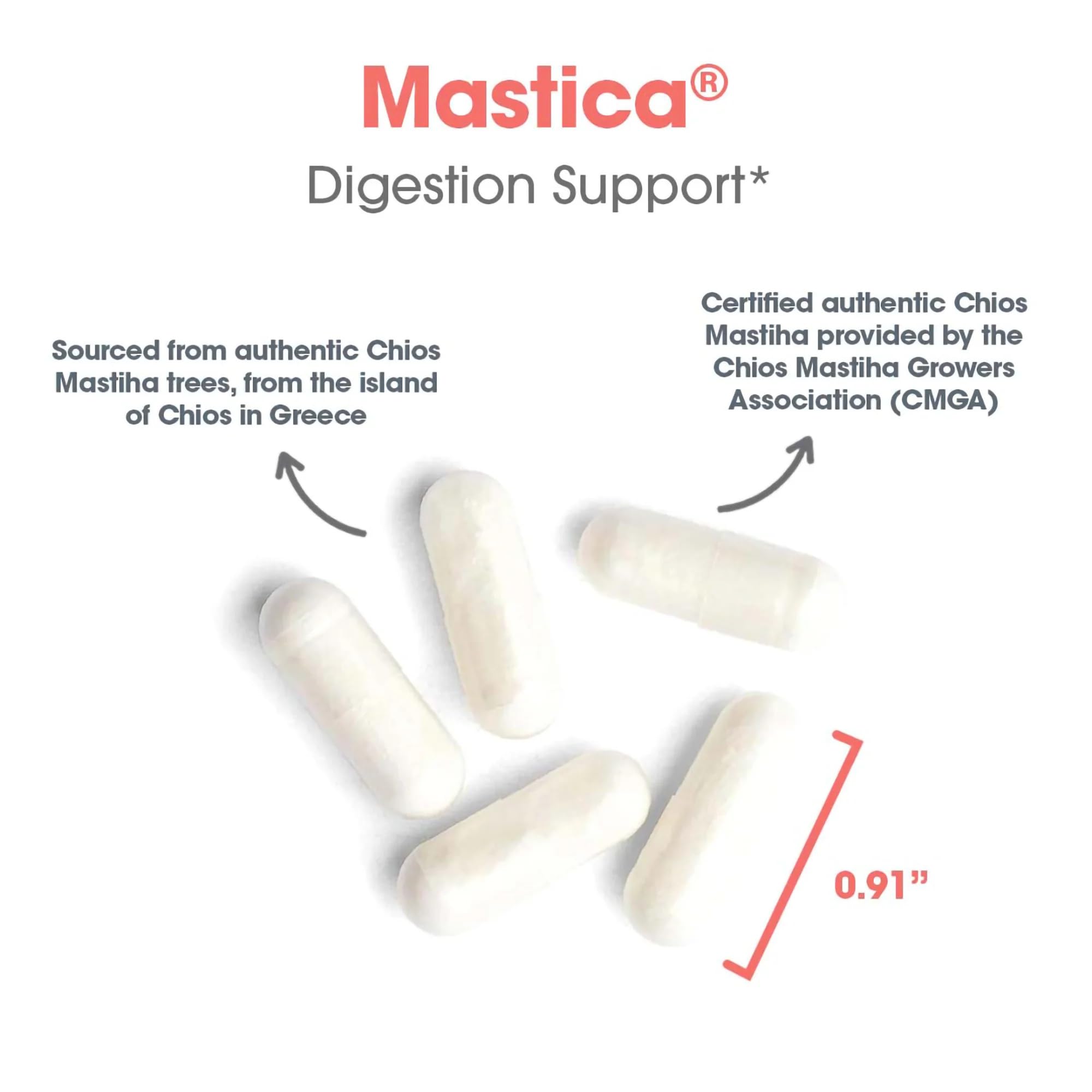 Chios mastic gum benefits