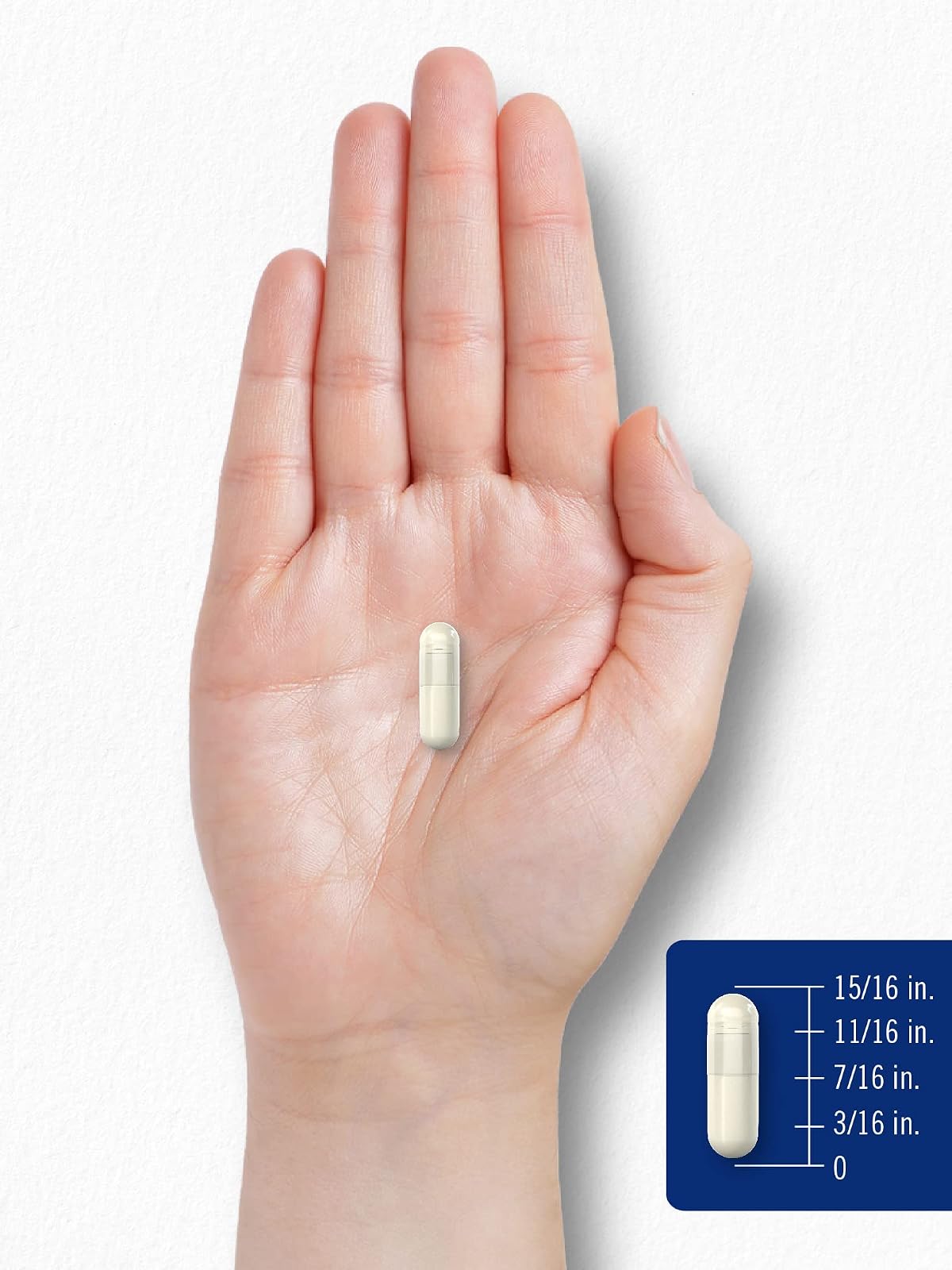 Chitosan for seniors' wellness