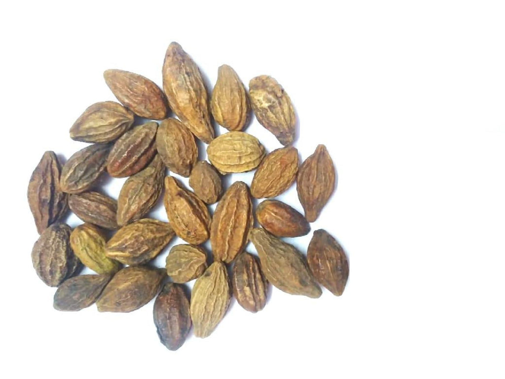 chitrak haritaki for holistic healing