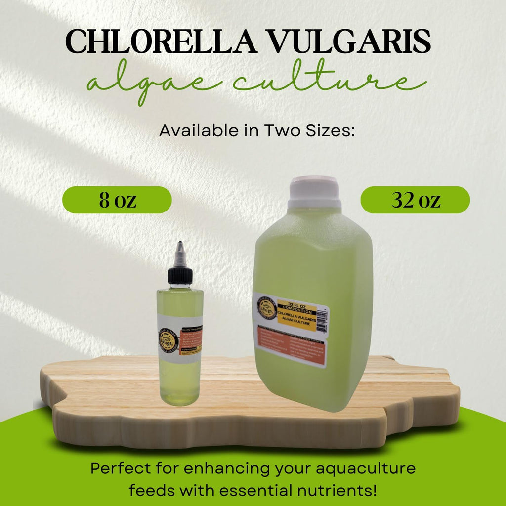 Chlorella algae for aquatic life