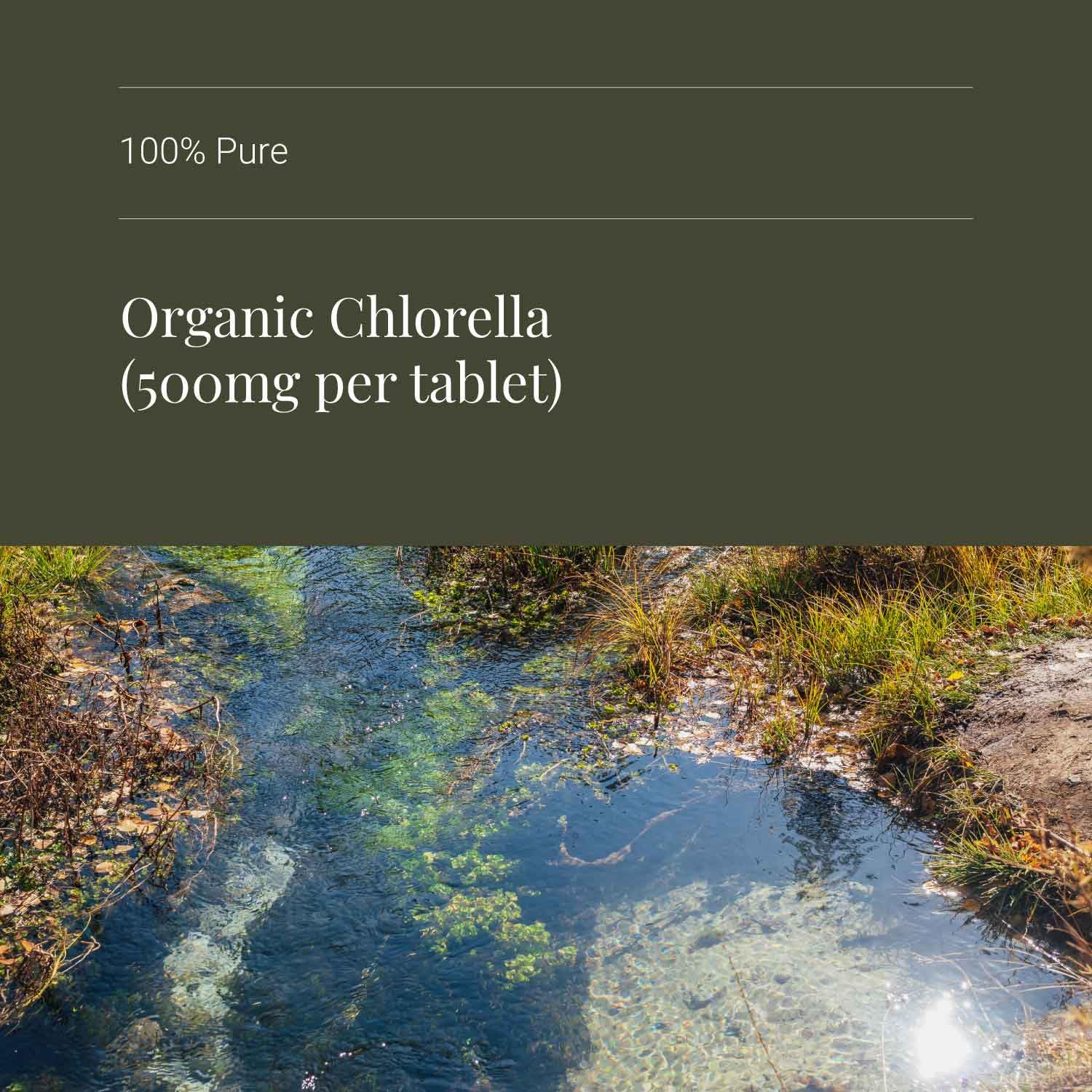 chlorella benefits for skin health