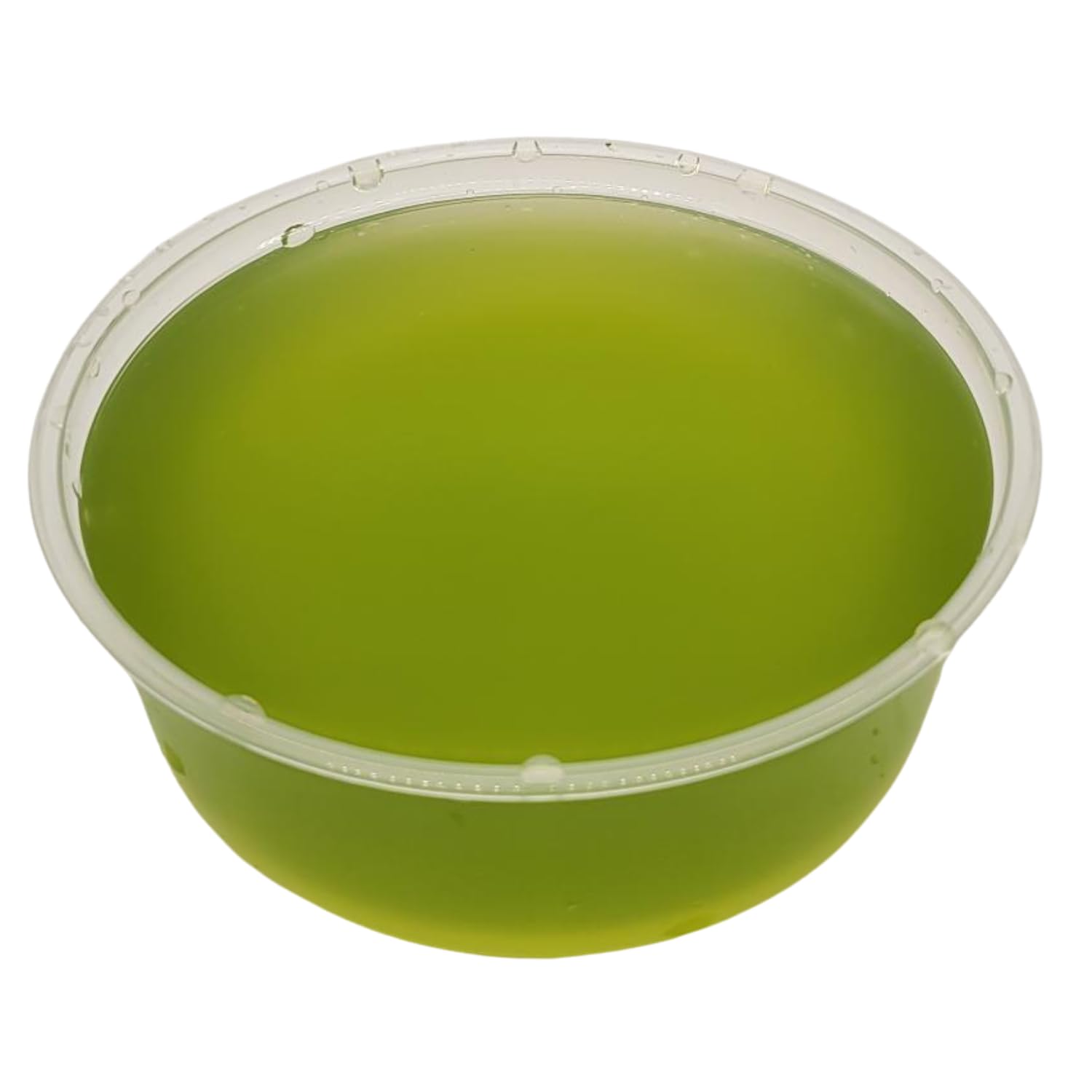 Chlorella benefits for students