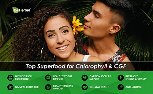 chlorella capsules for daily nutrition