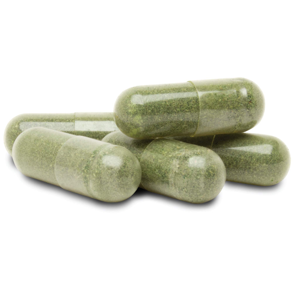 chlorella capsules for daily wellness