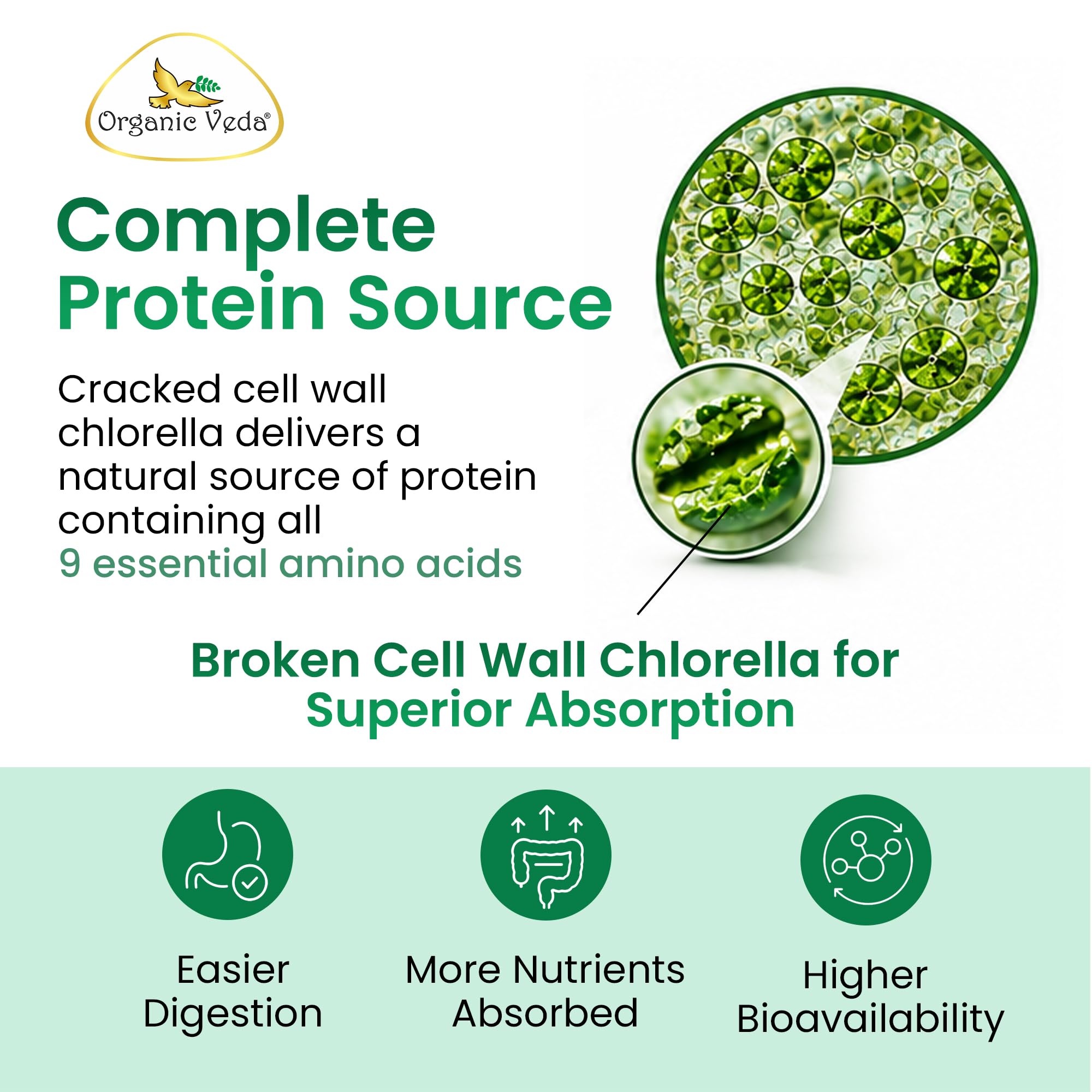 chlorella capsules for detox support