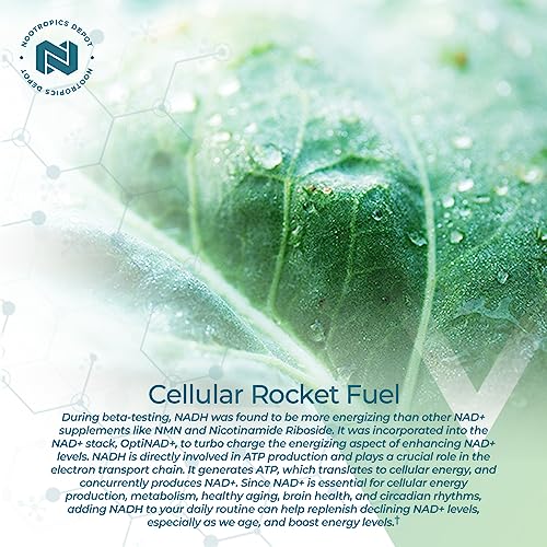 Chlorella capsules for detoxification support