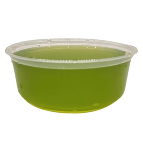 Chlorella culture for biology experiments