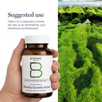 chlorella for energy and vitality