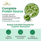 Chlorella for immune system support