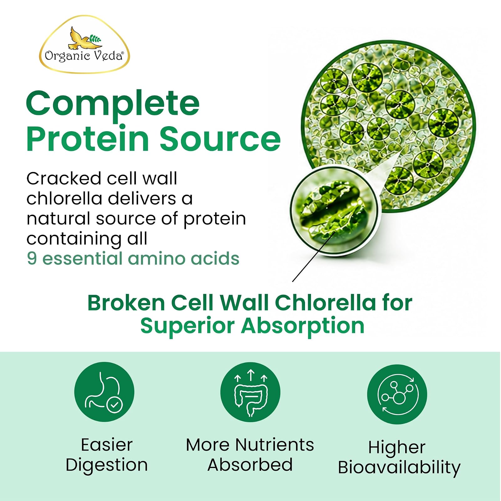 Chlorella for immune system support