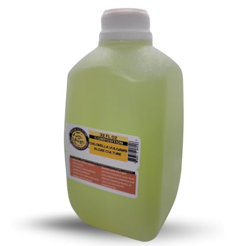 Chlorella for Moina and Daphnia feed
