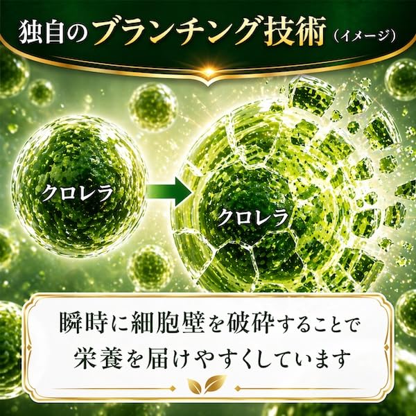 chlorella for nutritional support