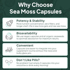 Chlorella packed multivitamins
