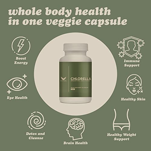 chlorella plant for wellness