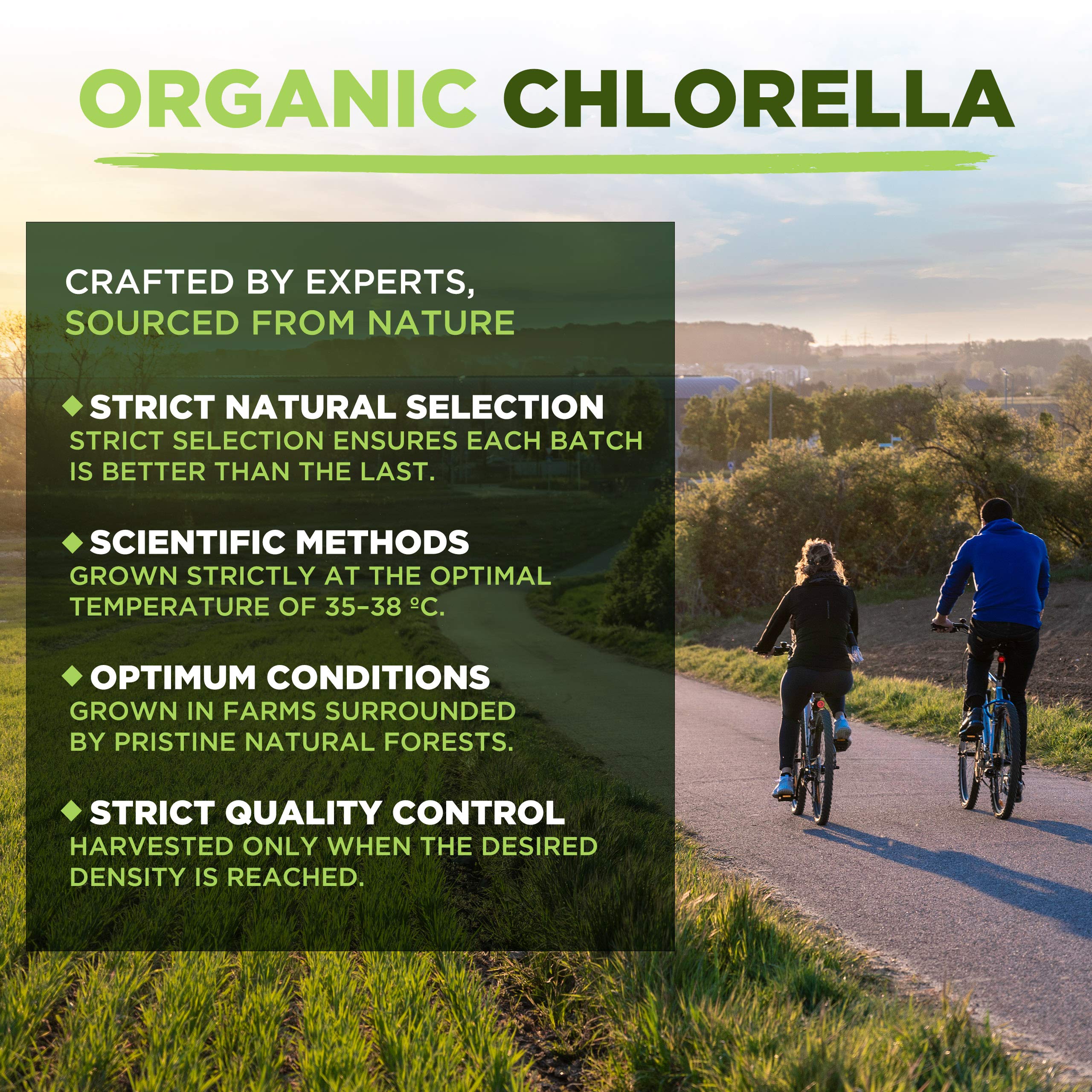 chlorella powder for detox support